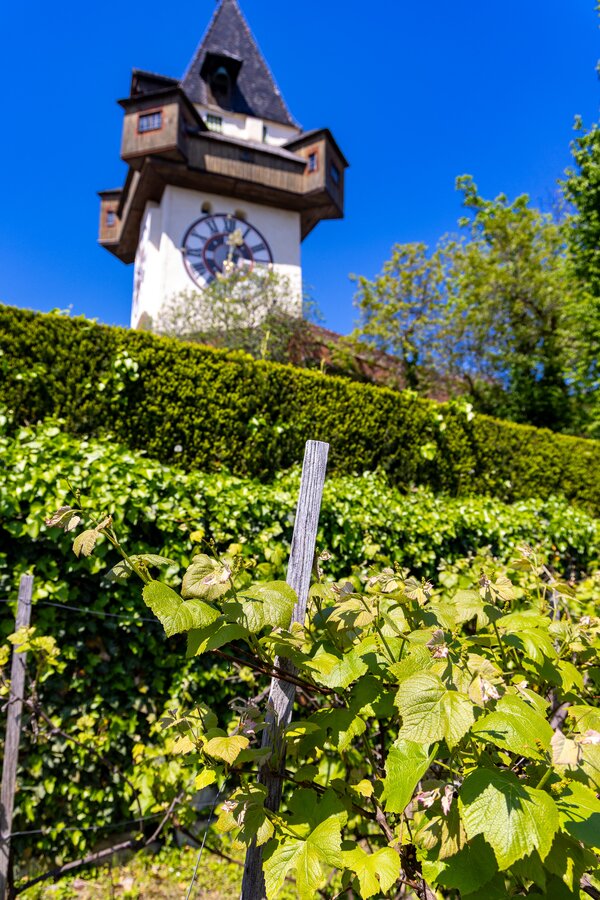 Herberstein Garden I Schlossberg Graz | Sightseeing in Graz
